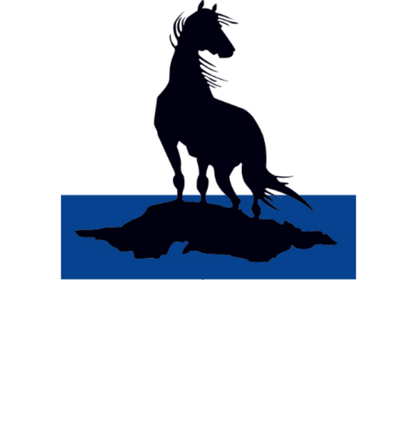 HDSD Hi-Def Spirit Sticker Decals: Choose Any Design! - Jostens Mascot ...